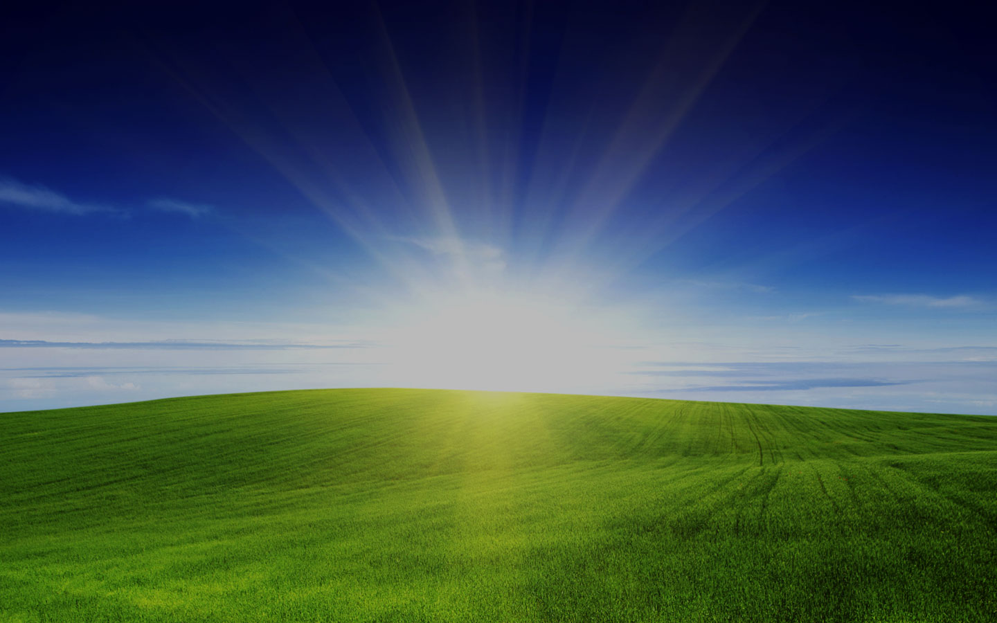 WasteTracking.com – track waste and recycling with WasteTracking.com.